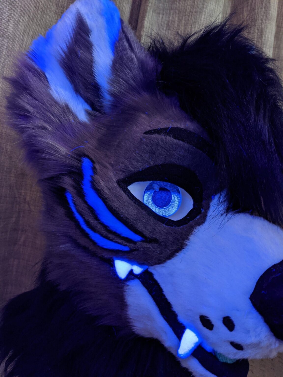 Fursonalities Studios | Let us bring your fursonalities to life!